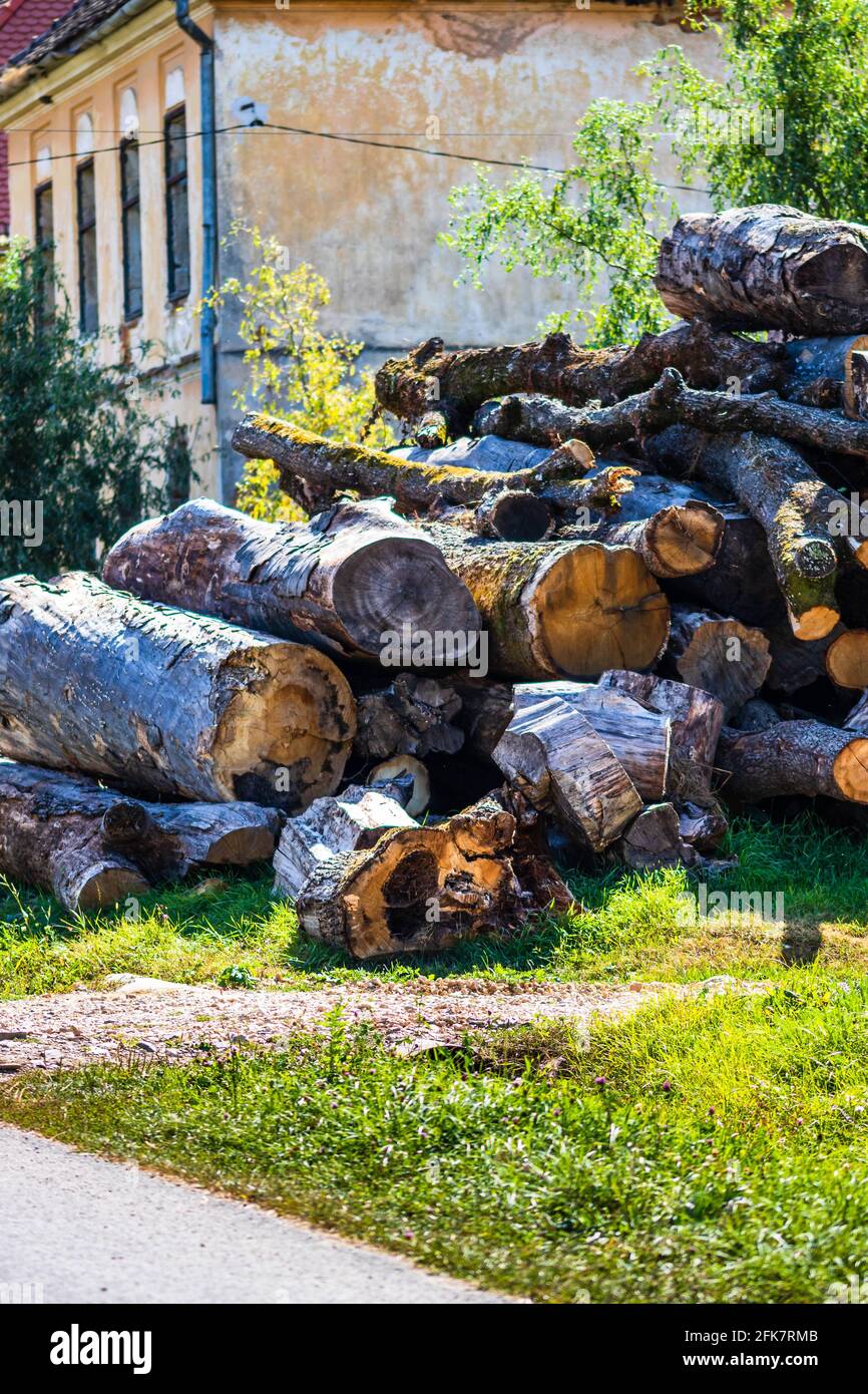 Cut and stacked dry woods. Pile of sawing woods Stock Photo - Alamy