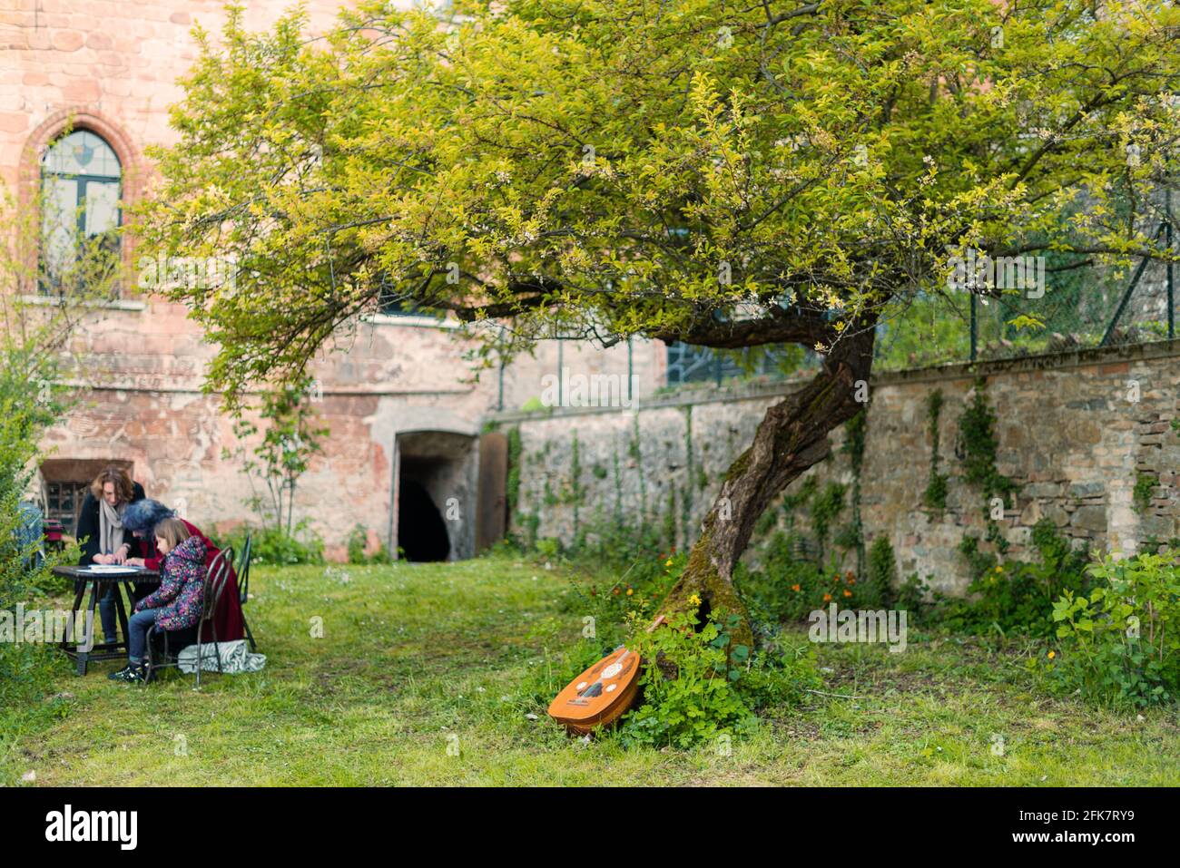 Lute family hi-res stock photography and images - Alamy
