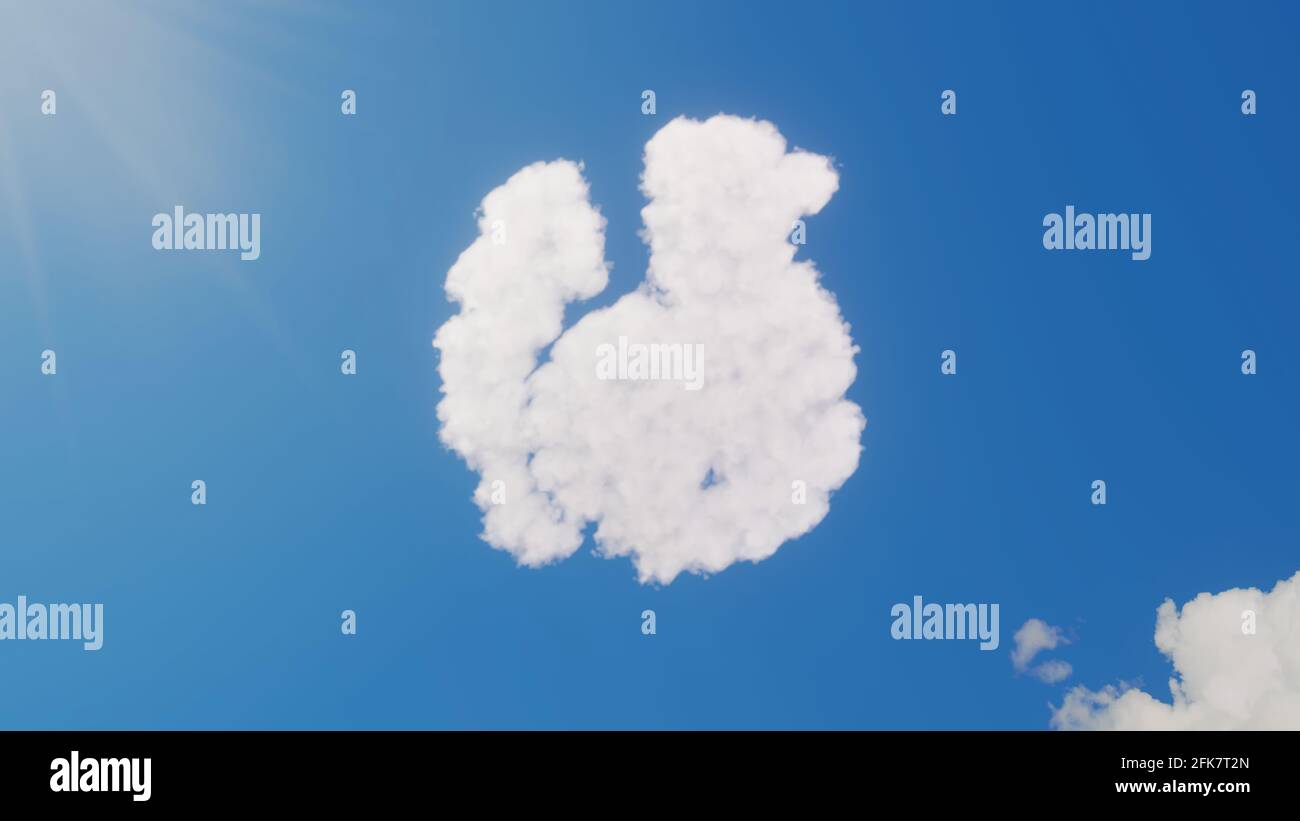 3d rendering of white fluffy clouds in shape of symbol of turkey bird ...