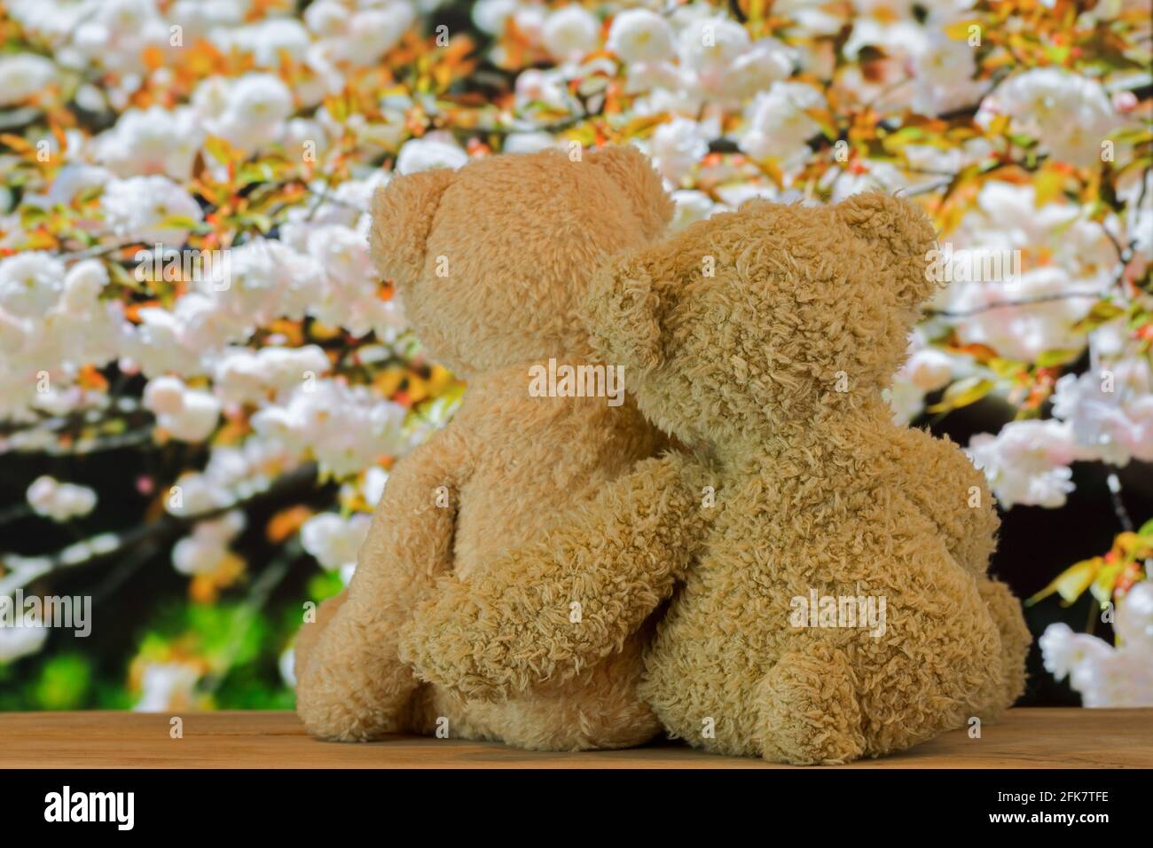 Two teddy bears hugging hi-res stock photography and images - Alamy