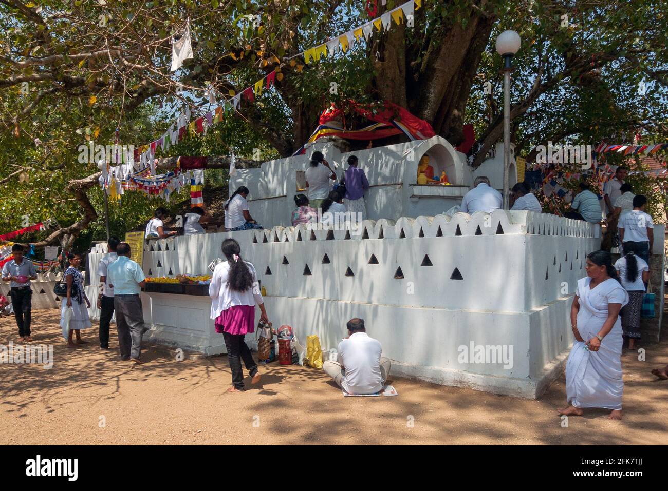 Kandy, Sri lanka: the sacred tree of Pattini Devale with small buddhist ...