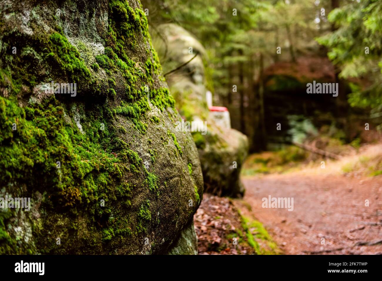 Table mountain hike path hi-res stock photography and images - Alamy