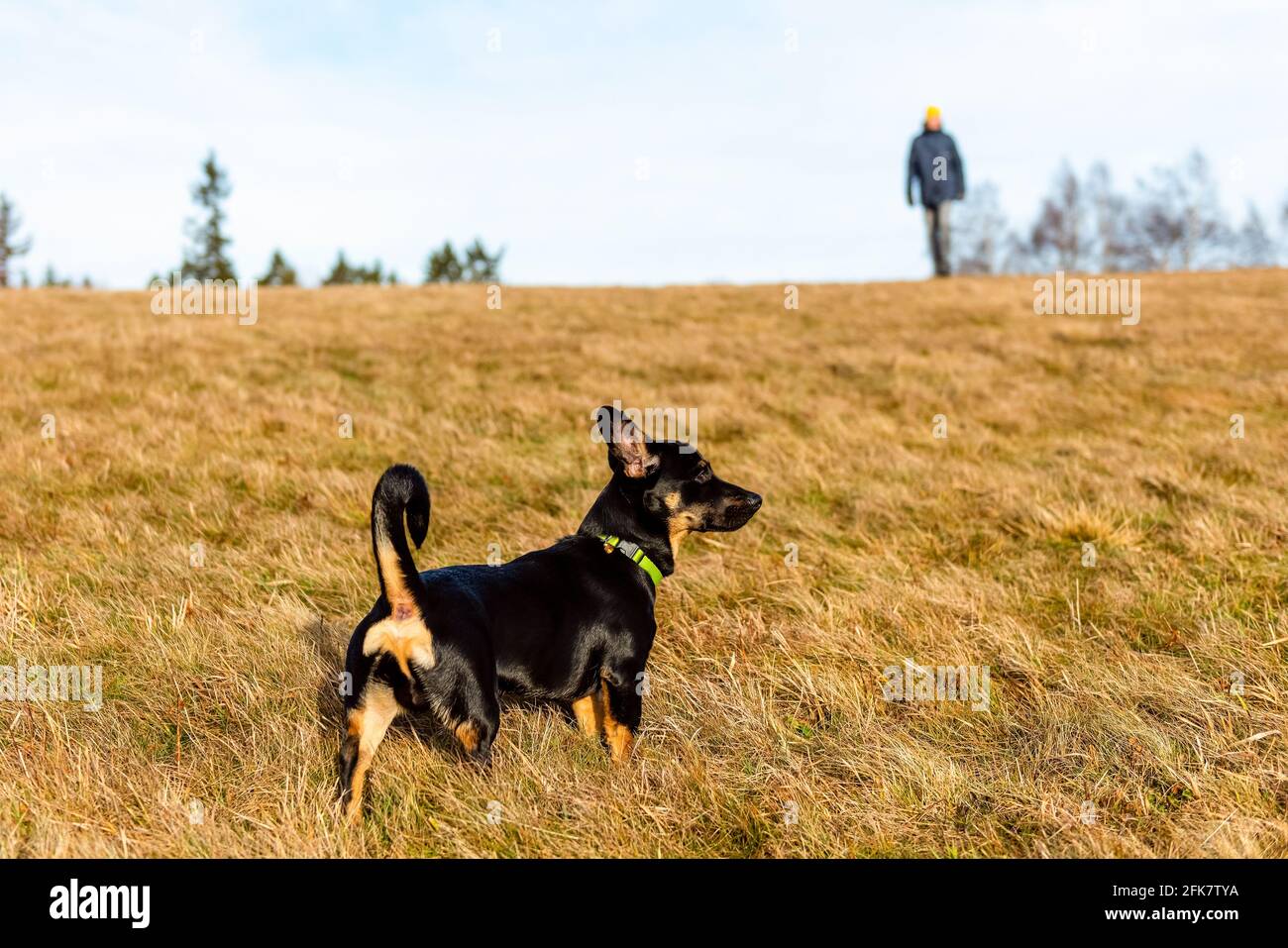 Rural natural hi-res stock photography and images - Alamy