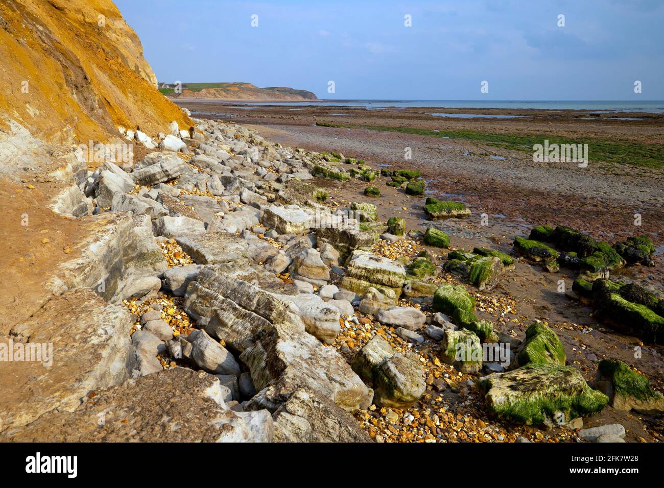 Dinosaur footprint fossil uk hi-res stock photography and images - Alamy