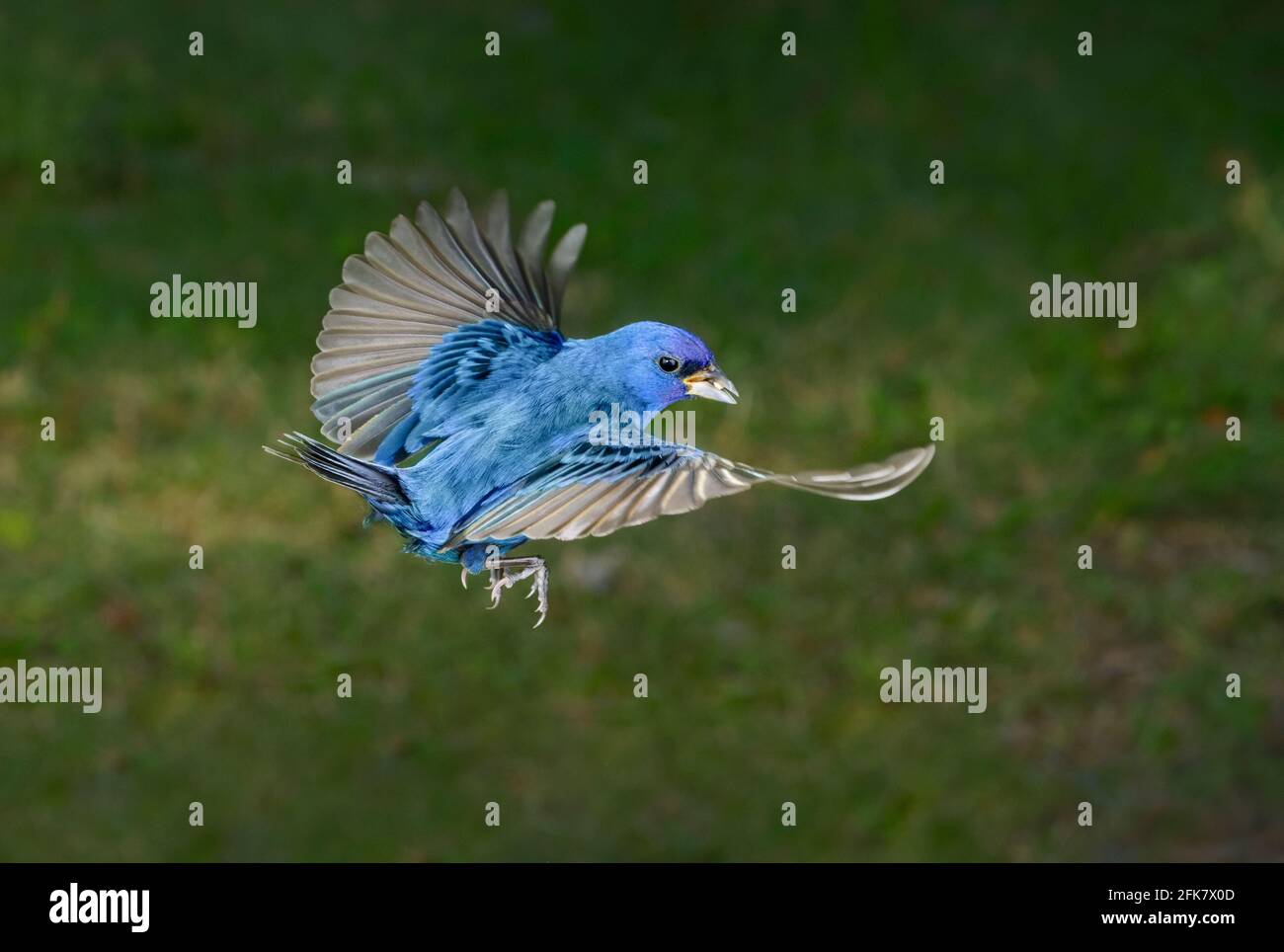 Male flying hi-res stock photography and images - Alamy