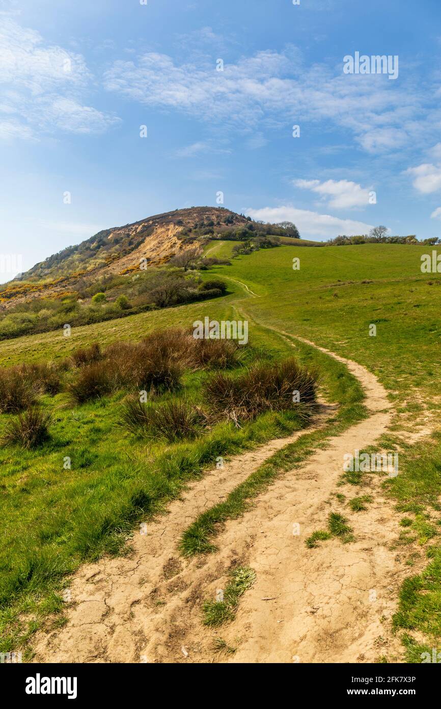 The South West Coast Path leading to Golden Cap on the Jurassic Coast ...