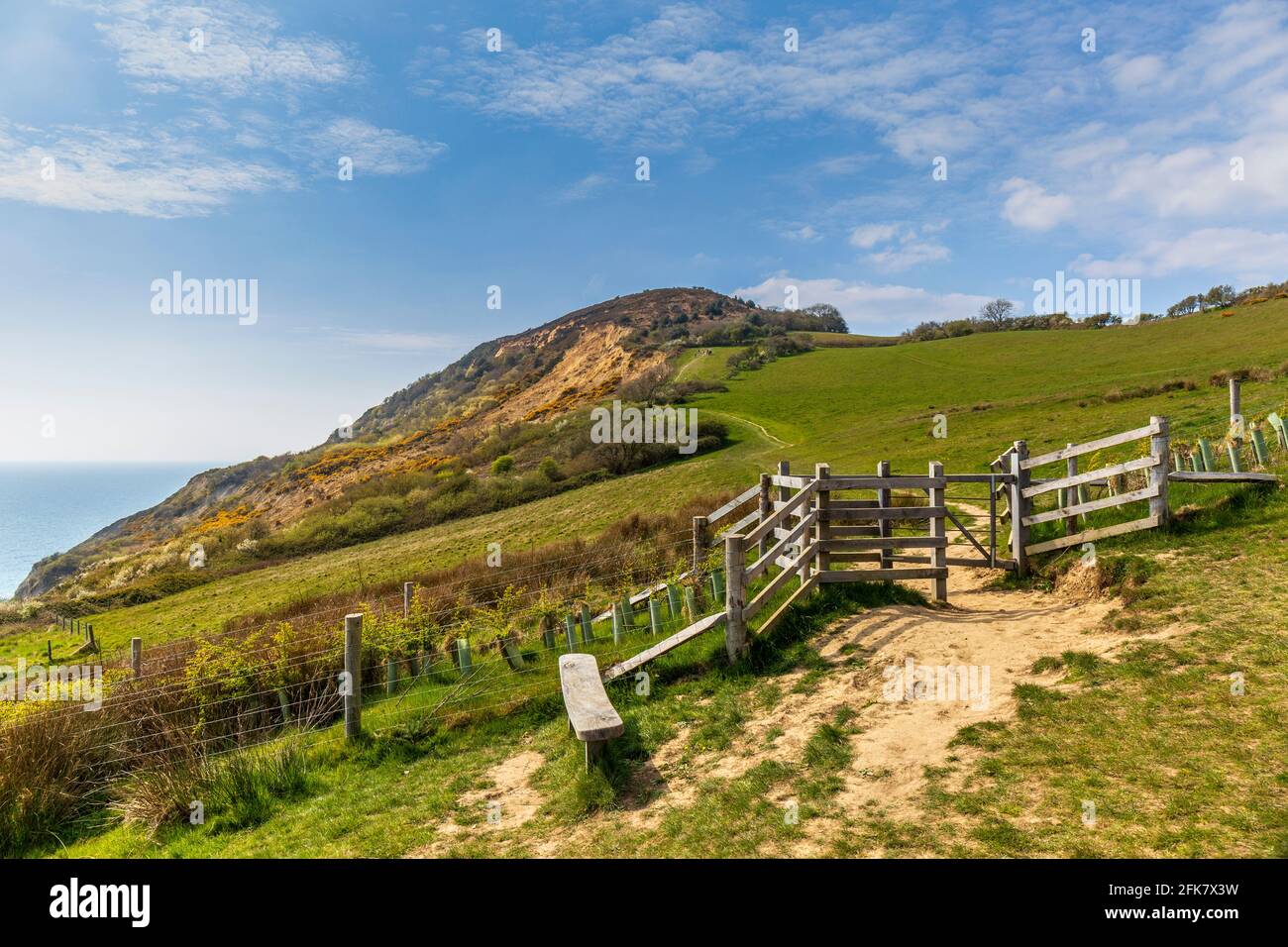 The South West Coast Path leading to Golden Cap on the Jurassic Coast ...