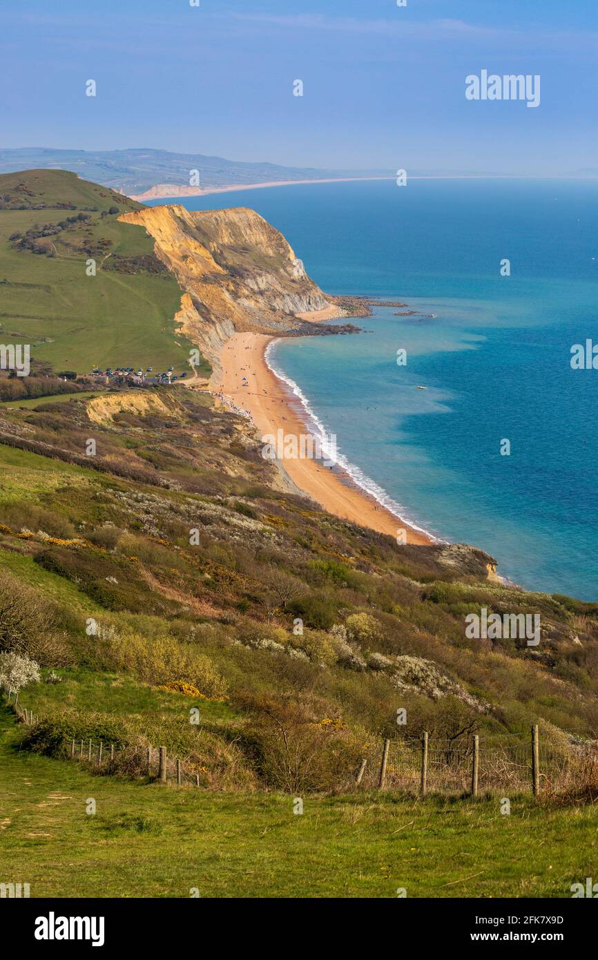 Seatown Beach and the Ridge Cliff land fall from the South West Coast ...