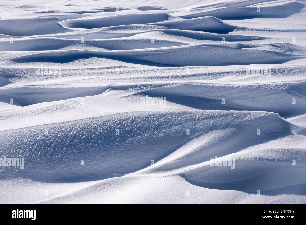 Firn hi-res stock photography and images - Alamy