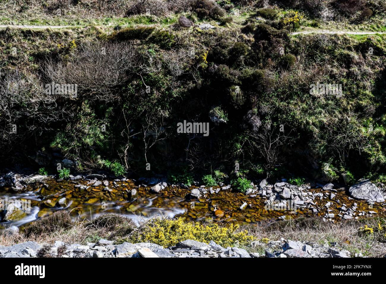 Footpath through country hiking route on a coastal walk uk Stock Photo ...