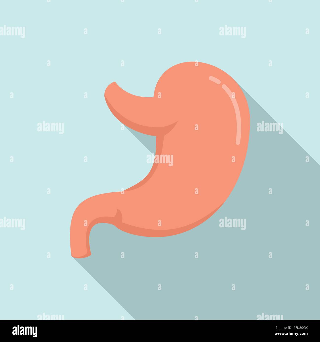 Healthy stomach icon, flat style Stock Vector Image & Art - Alamy