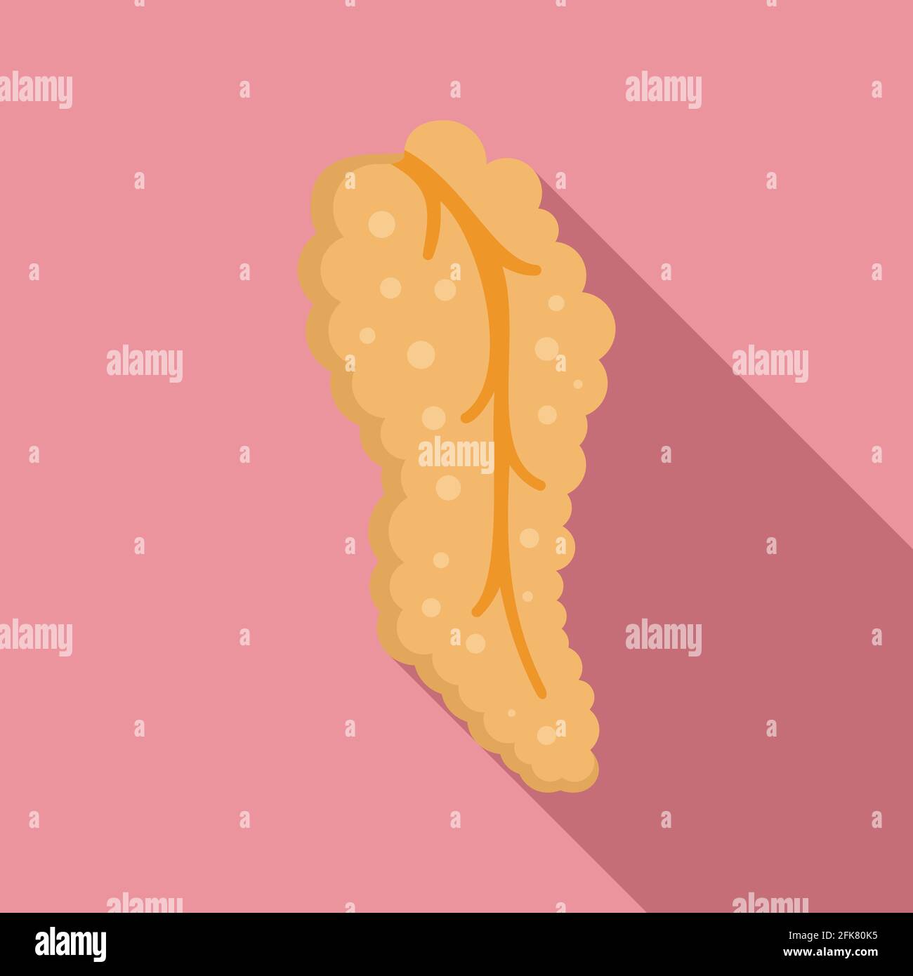 Cross section of the duodenum Stock Vector Images - Alamy