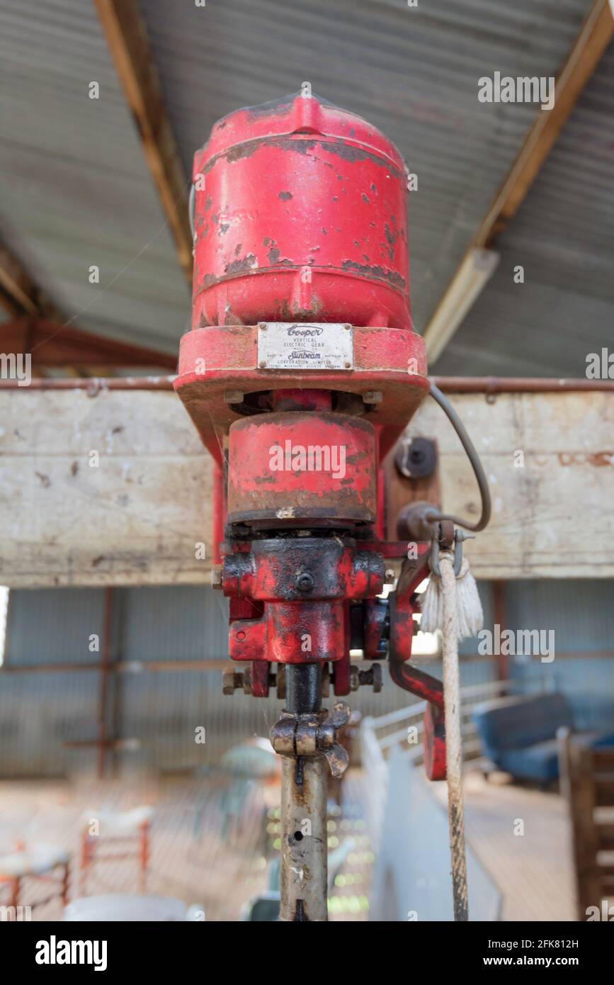 Old sheep shearing techniques hi-res stock photography and images - Alamy