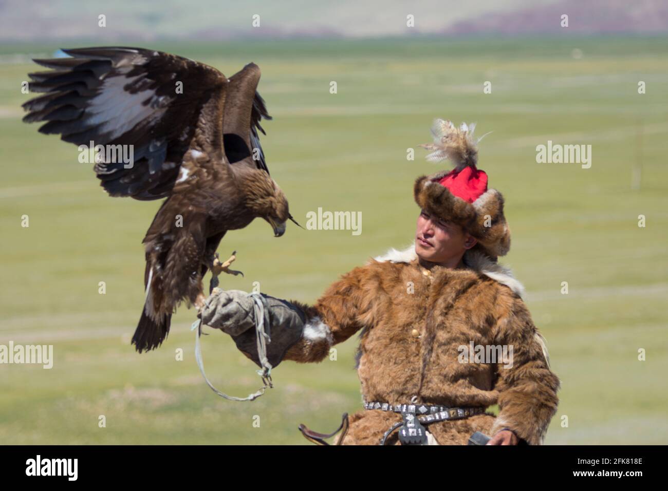 kazakh eagle hunter with golden eagle in Mongolian steppe Stock Photo - Alamy