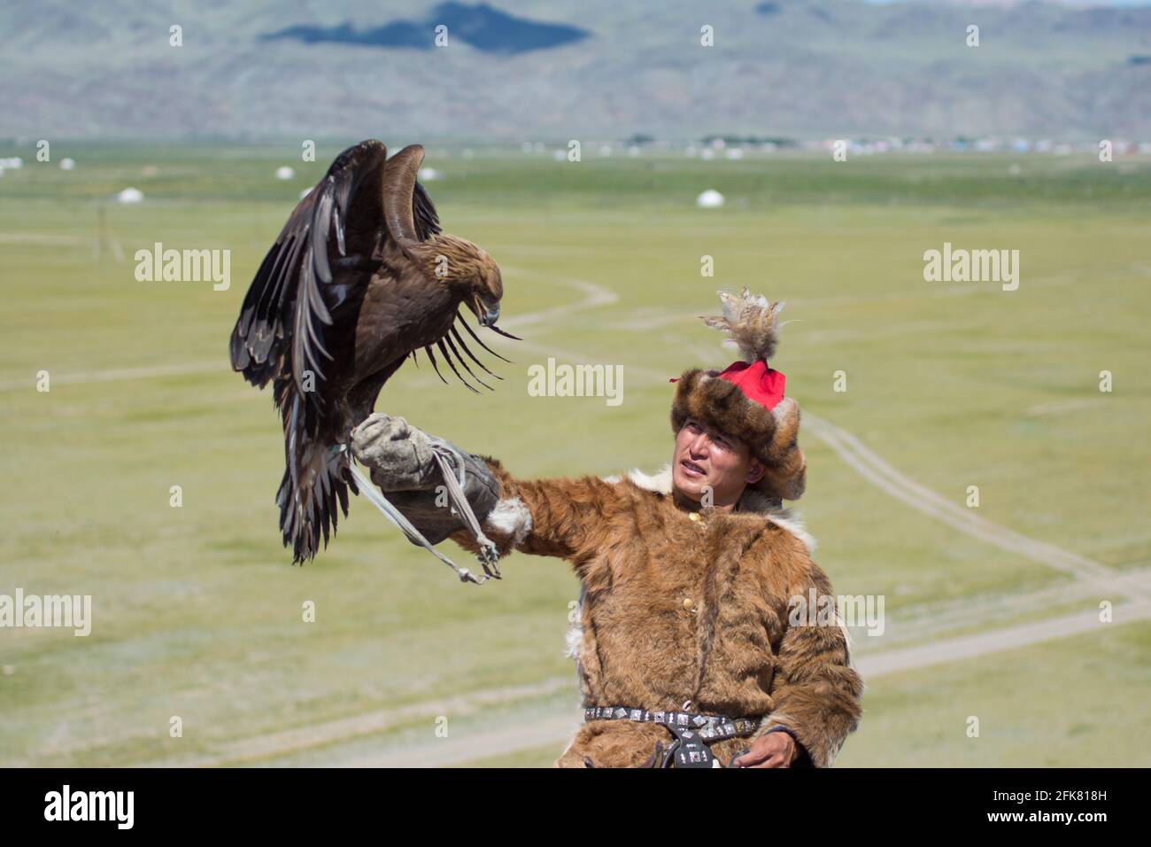 kazakh eagle hunter with golden eagle in Mongolian steppe Stock Photo - Alamy