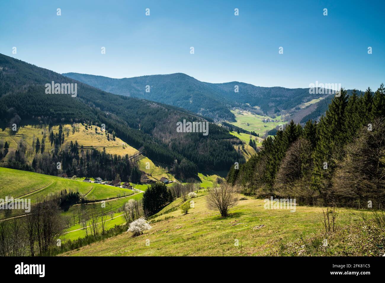 Germany, Schwarzwald mountains and valley nature landscape panorama ...