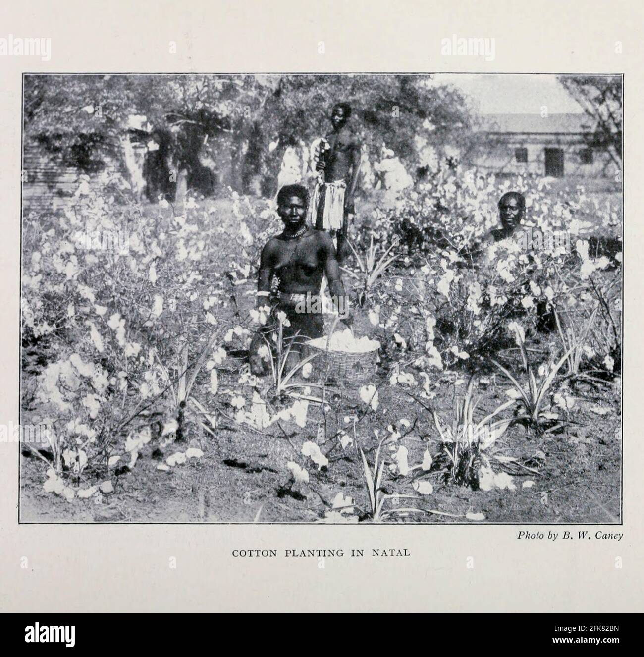 British empire history hi-res stock photography and images - Alamy