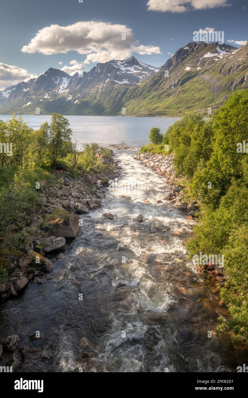 Mountain river flows into the fjord. Snowy mountains in background ...