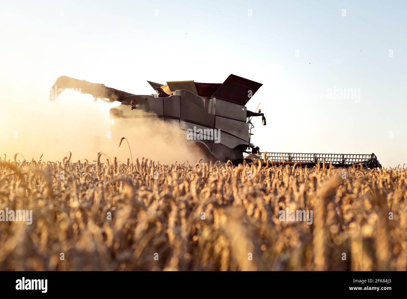 Combine farm machine harvesting wheat hi-res stock photography and ...