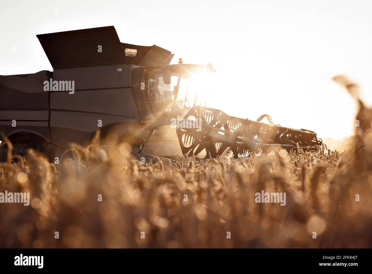 Combine harvester on field sunset hi-res stock photography and images ...