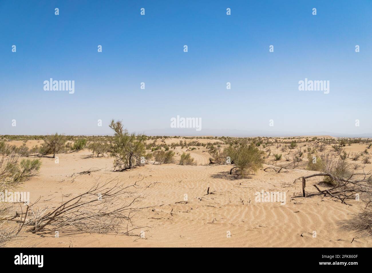 desert / sand dune landscape view near Yazd in Iran - desertification ...