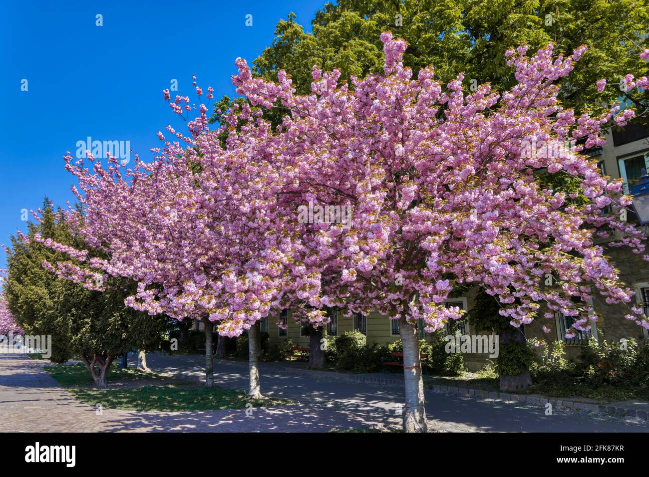 Arpad toth promenade hi-res stock photography and images - Alamy