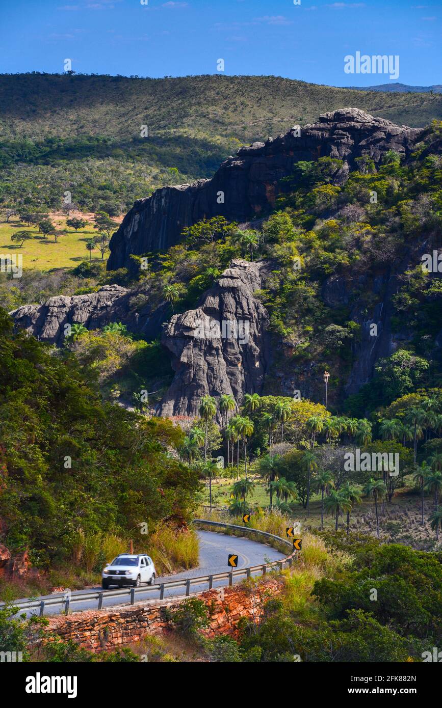 Cerrado Ecosystem Brazil High Resolution Stock Photography and Images ...