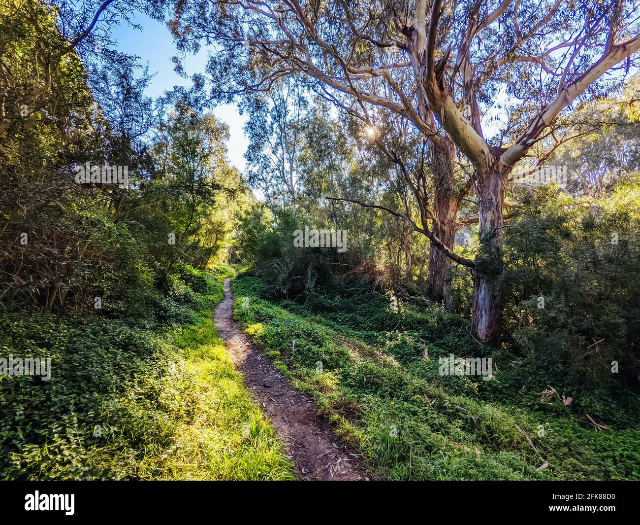 Yarra trails hi-res stock photography and images - Alamy