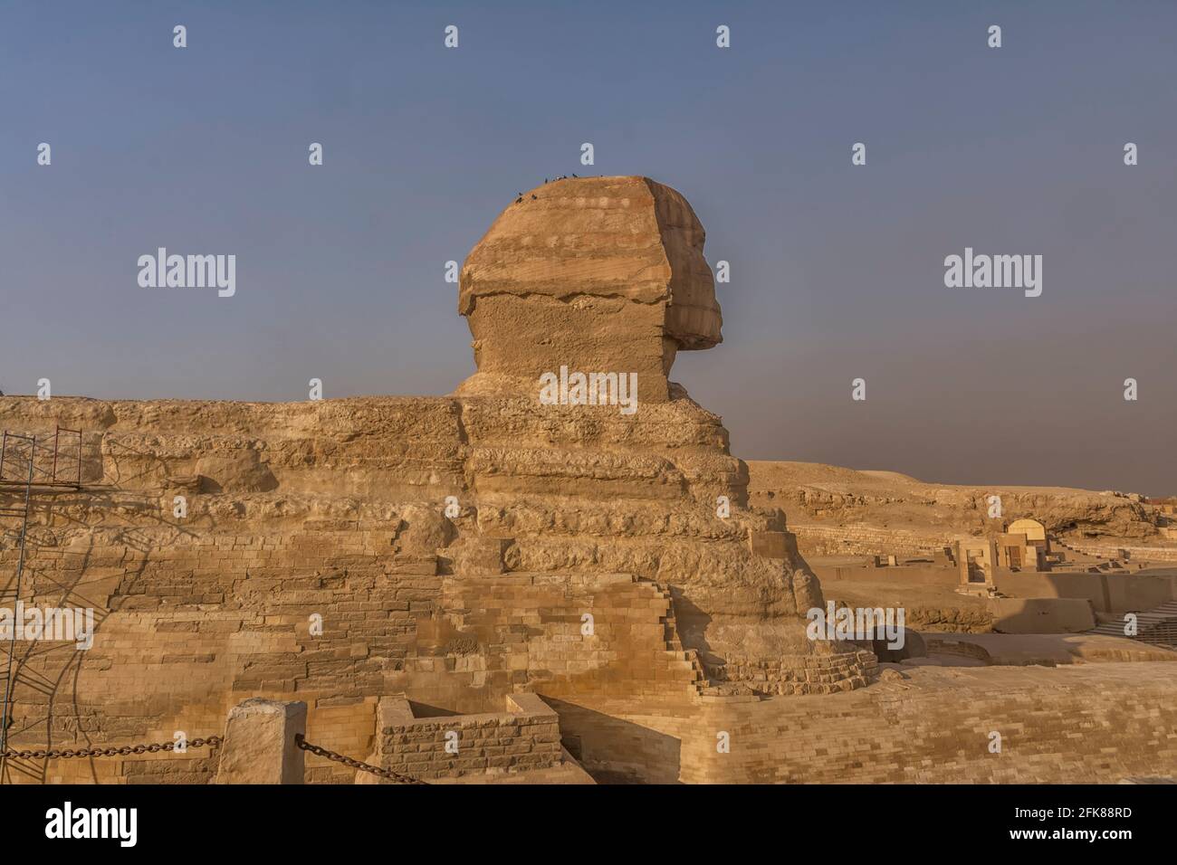 The Sphinx in front of the Pyramids, close view Stock Photo - Alamy