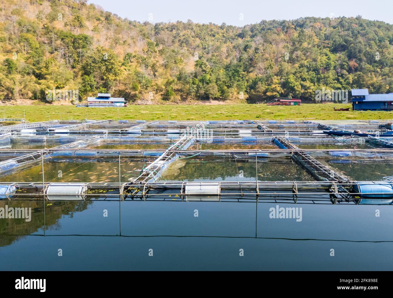 Group of the fish raising cage with the many freshwater fish in the ...