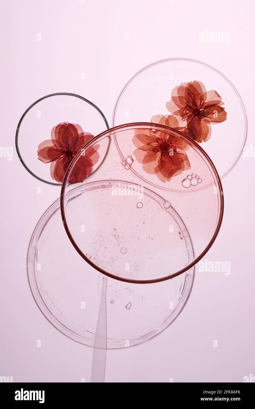 Abstract cosmetic laboratory. Chemical laboratory research. Nature ...