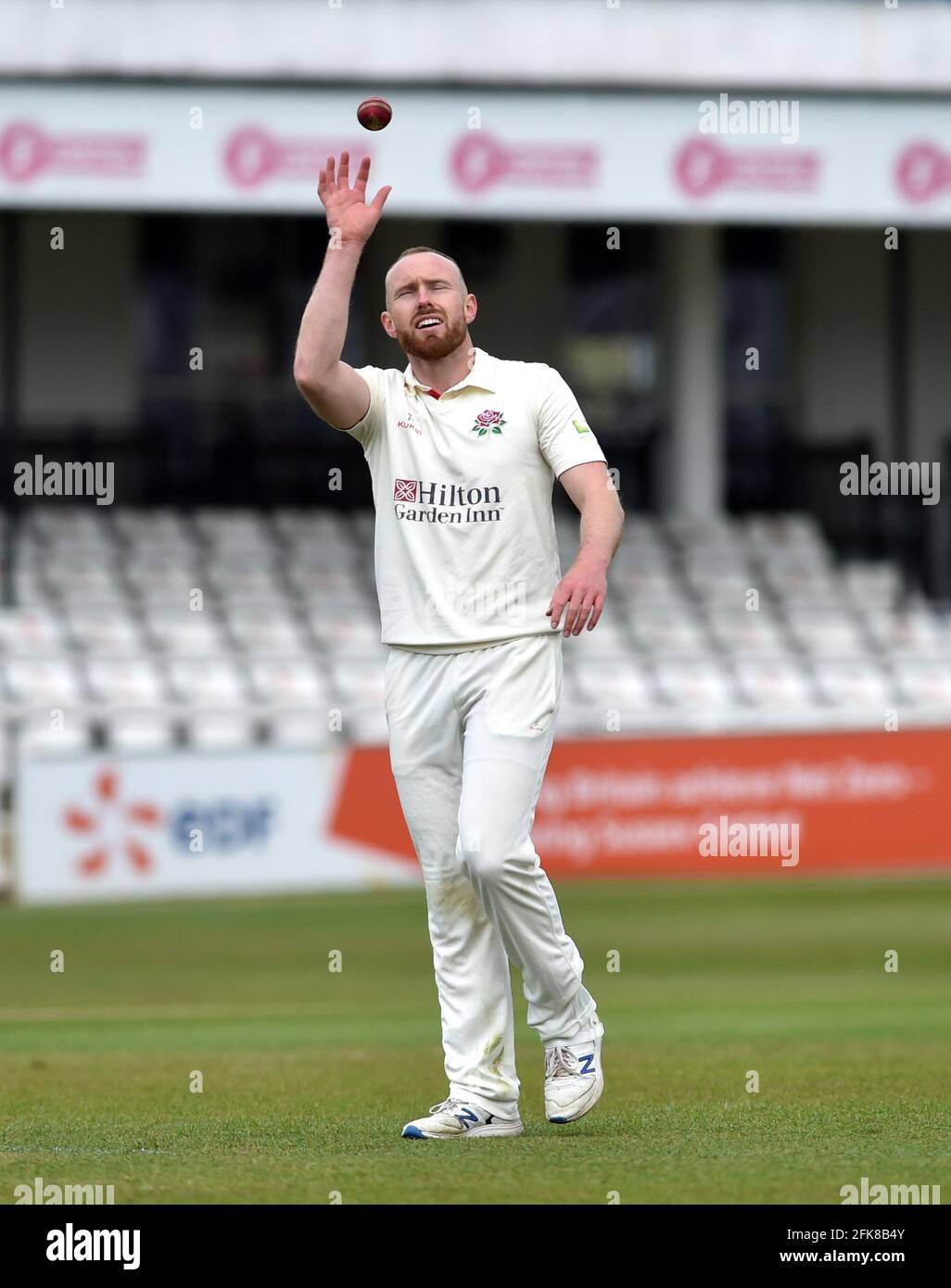Cricket Lamb High Resolution Stock Photography and Images - Alamy
