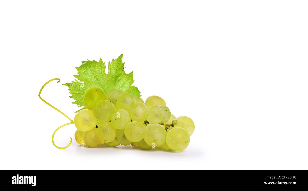 Small green grapes on Cut Out Stock Images & Pictures - Alamy