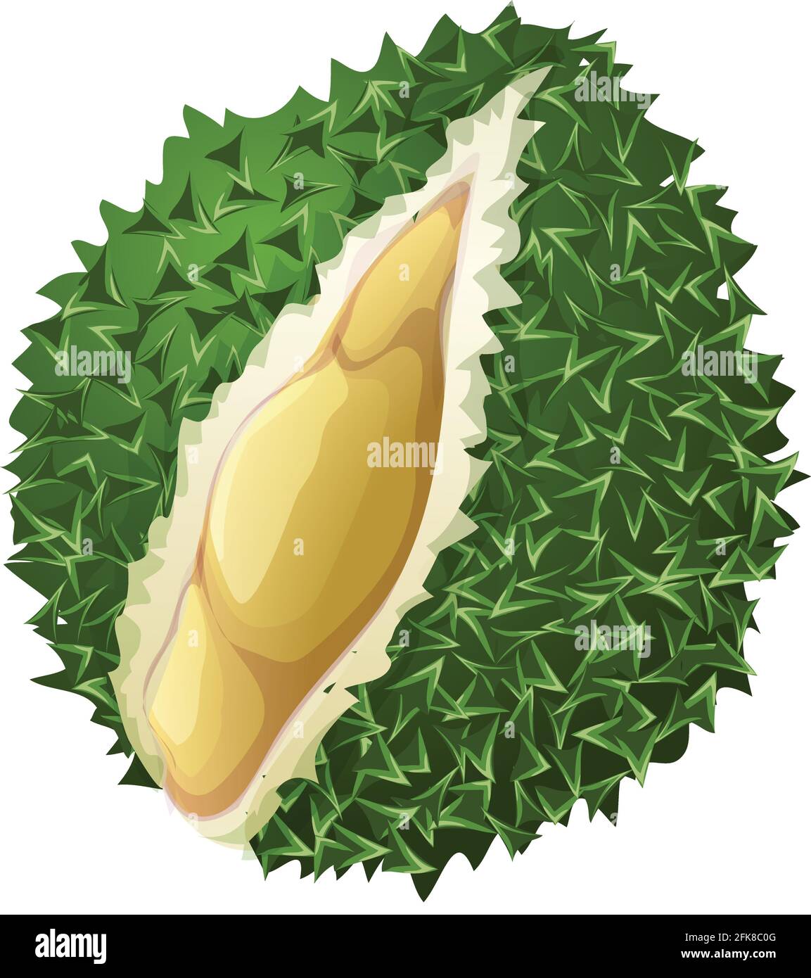 Durian fruit icon, cartoon style Stock Vector Image & Art - Alamy