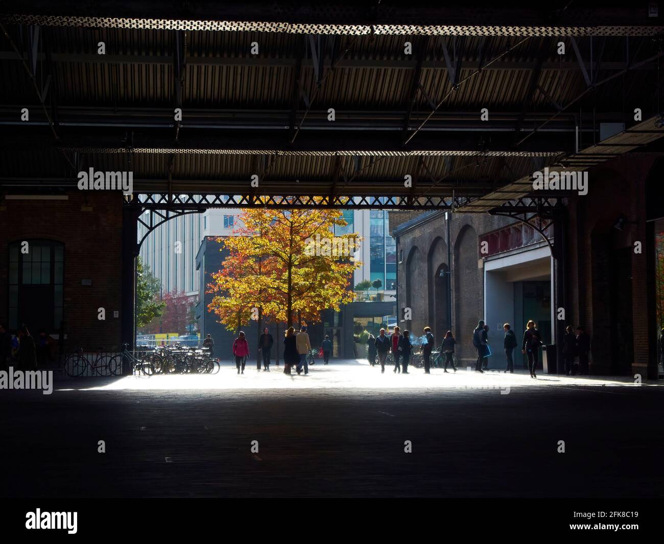 Strong colour hi-res stock photography and images - Alamy