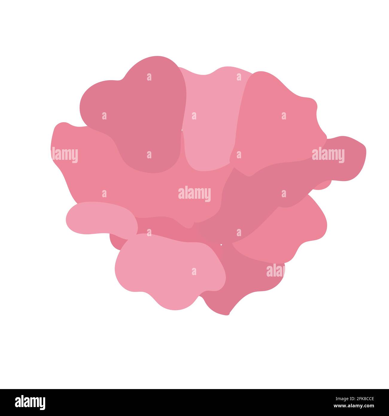 Abstract simple pink flower. Vector illustration islolated in white ...