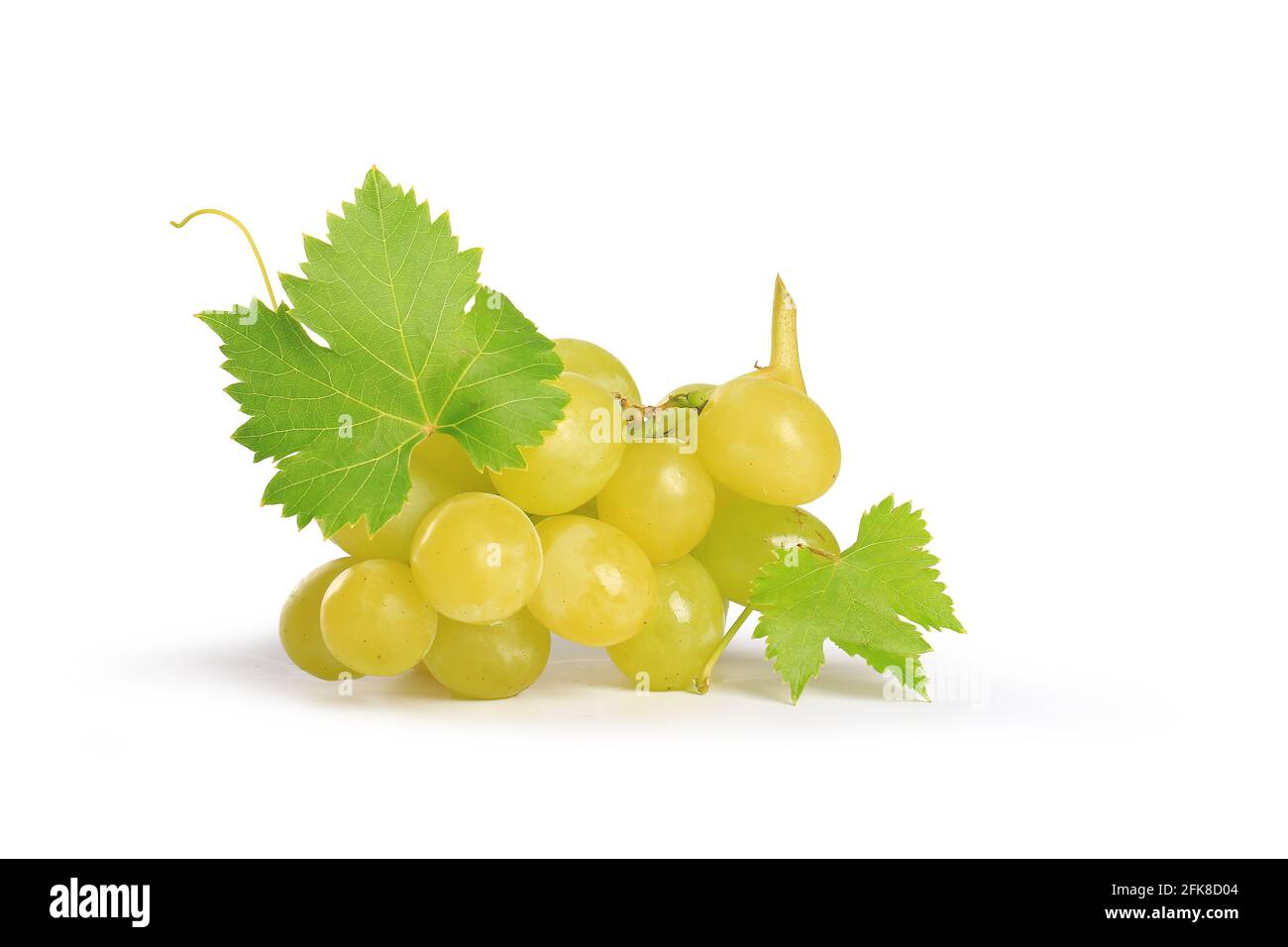 Small green grapes on Cut Out Stock Images & Pictures - Alamy