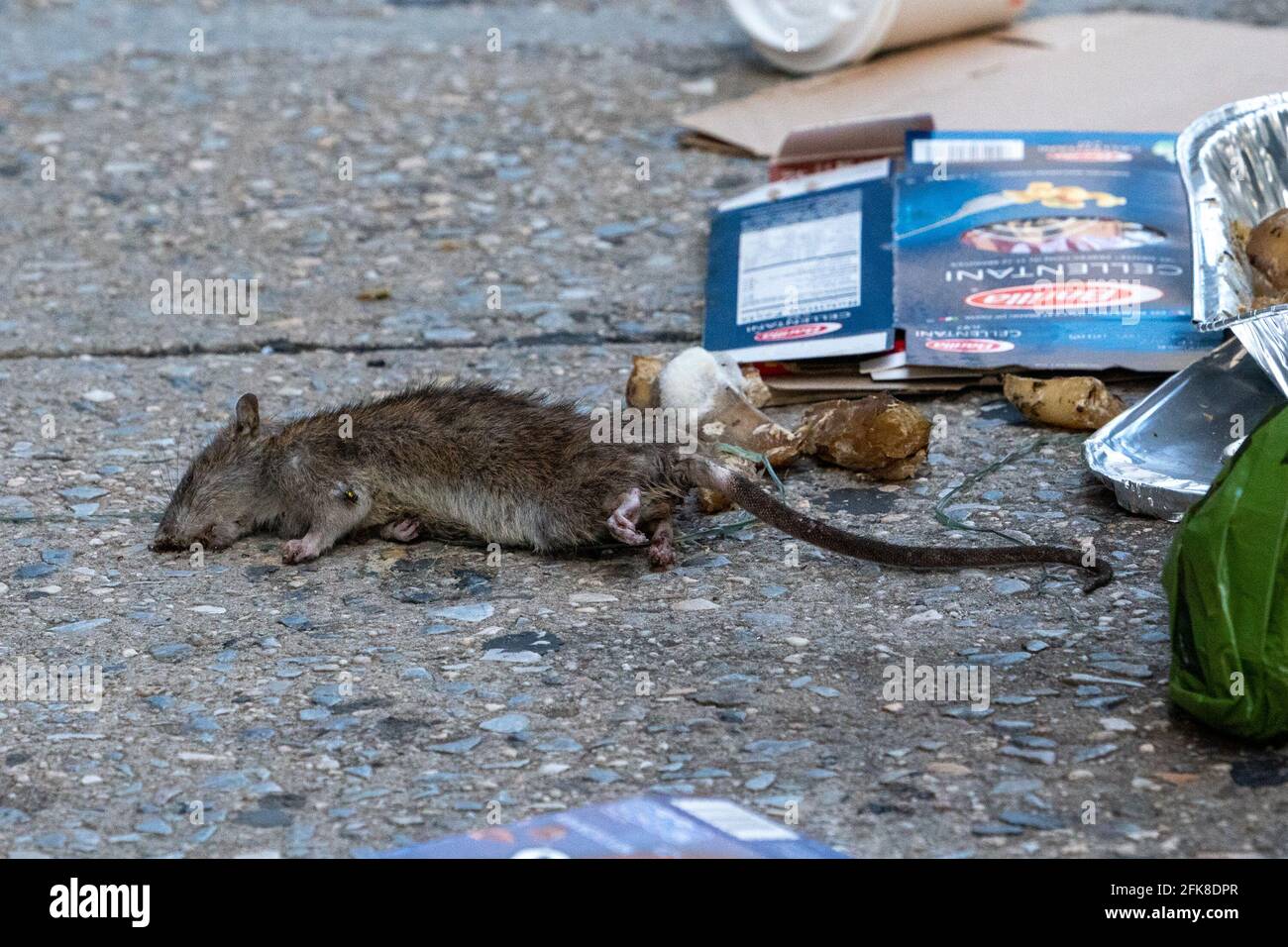 New York - NY - 20200606 - Re-opening Continues Into Phase 4 Across ...