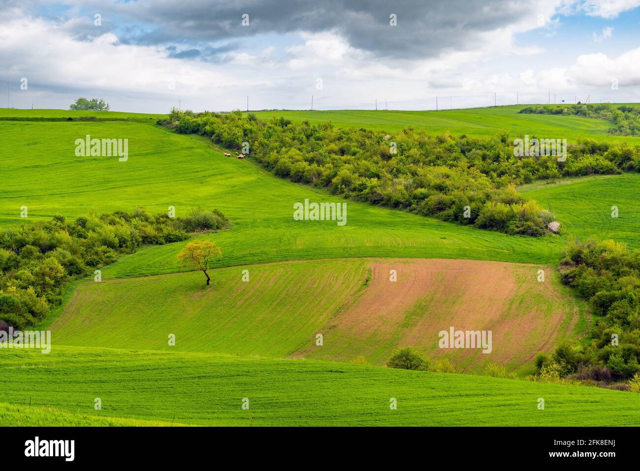 Green farm fields hi-res stock photography and images - Alamy