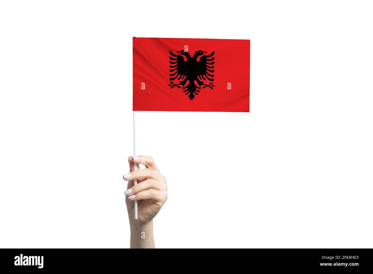 Beautiful female hand holding Albania flag, isolated on white ...