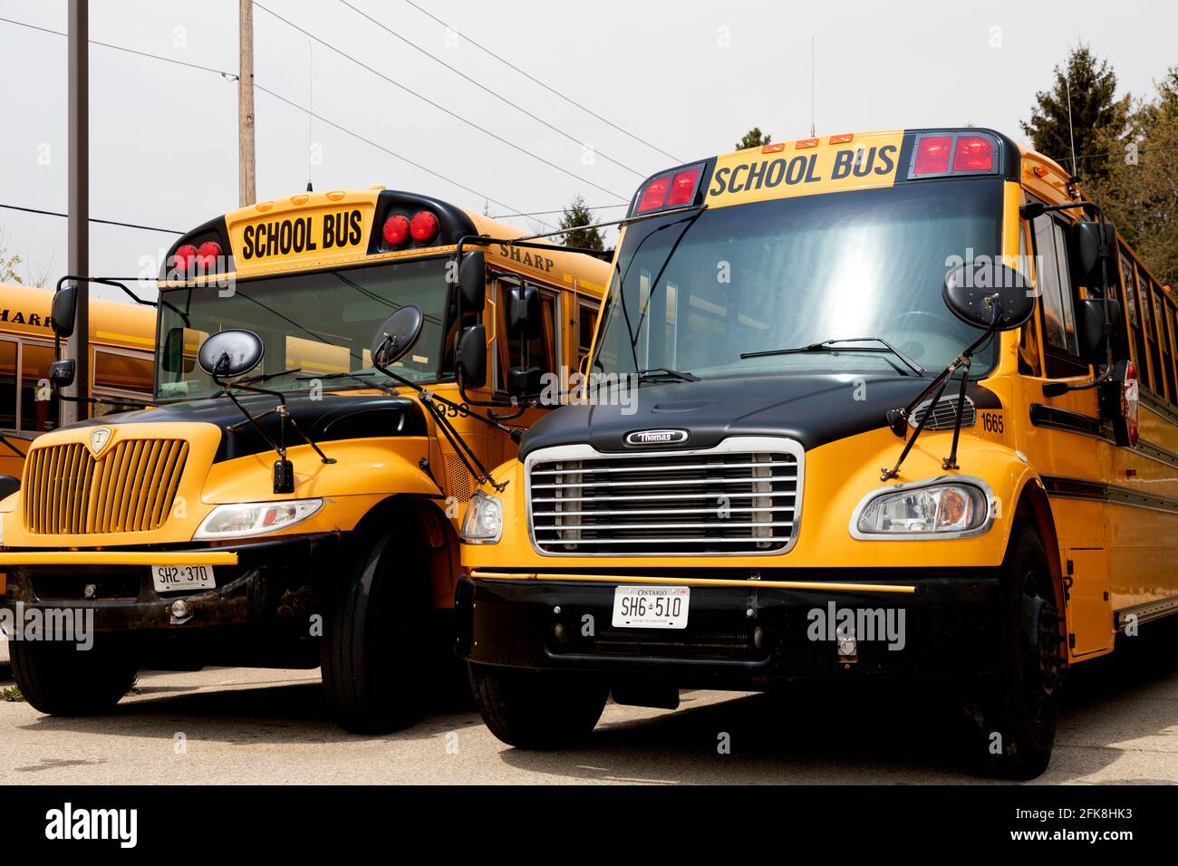 Parked school bus. Ontario Canada Stock Photo - Alamy