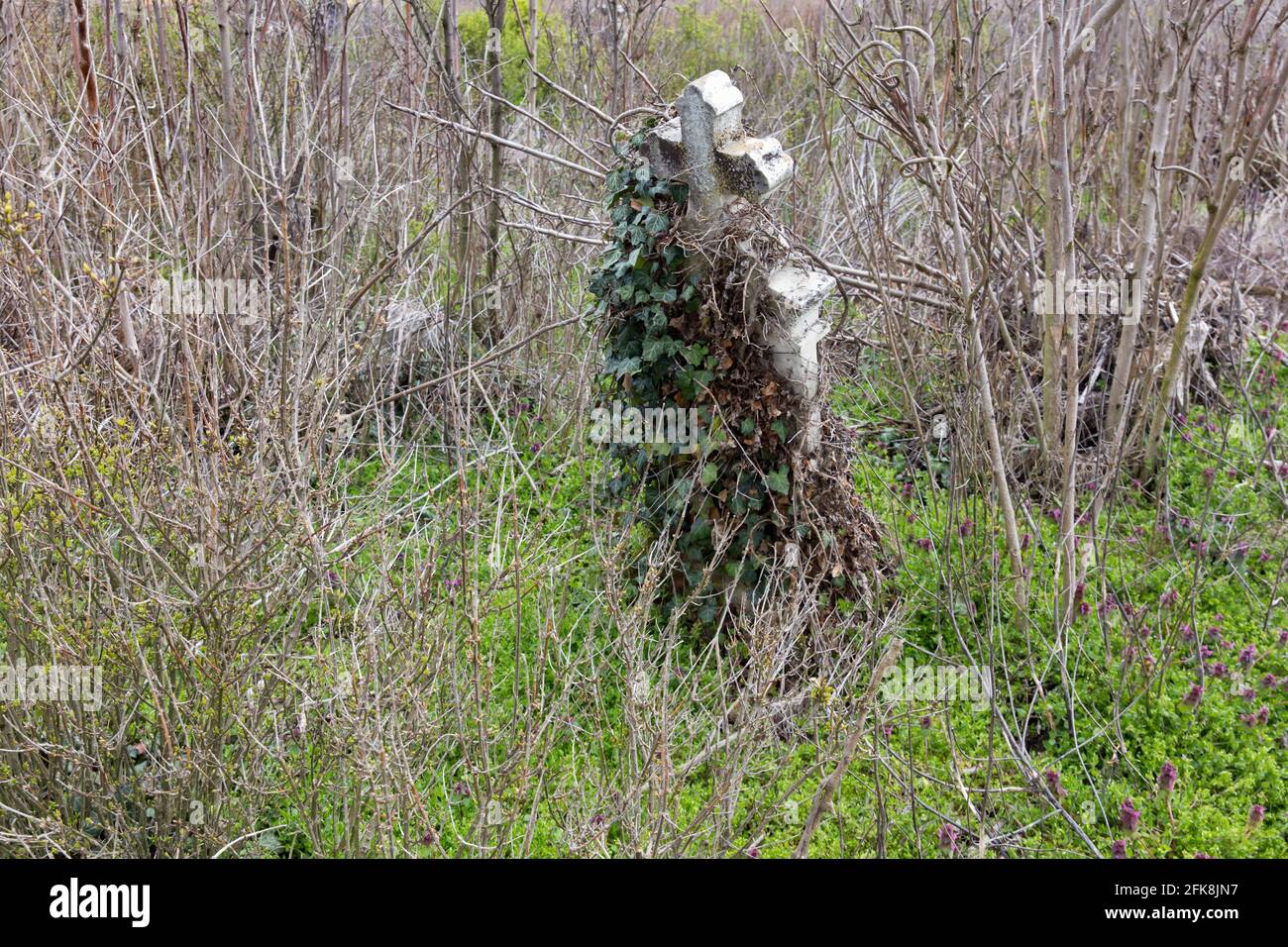 APATIN - Old and neglected graves on a cemetery Stock Photo - Alamy