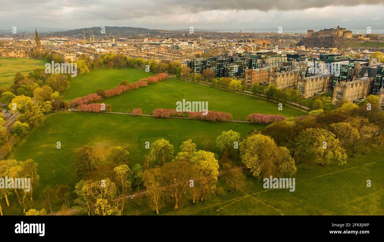 Aerial pictures Edinburgh's Meadows of which its cherry blossoms are in ...