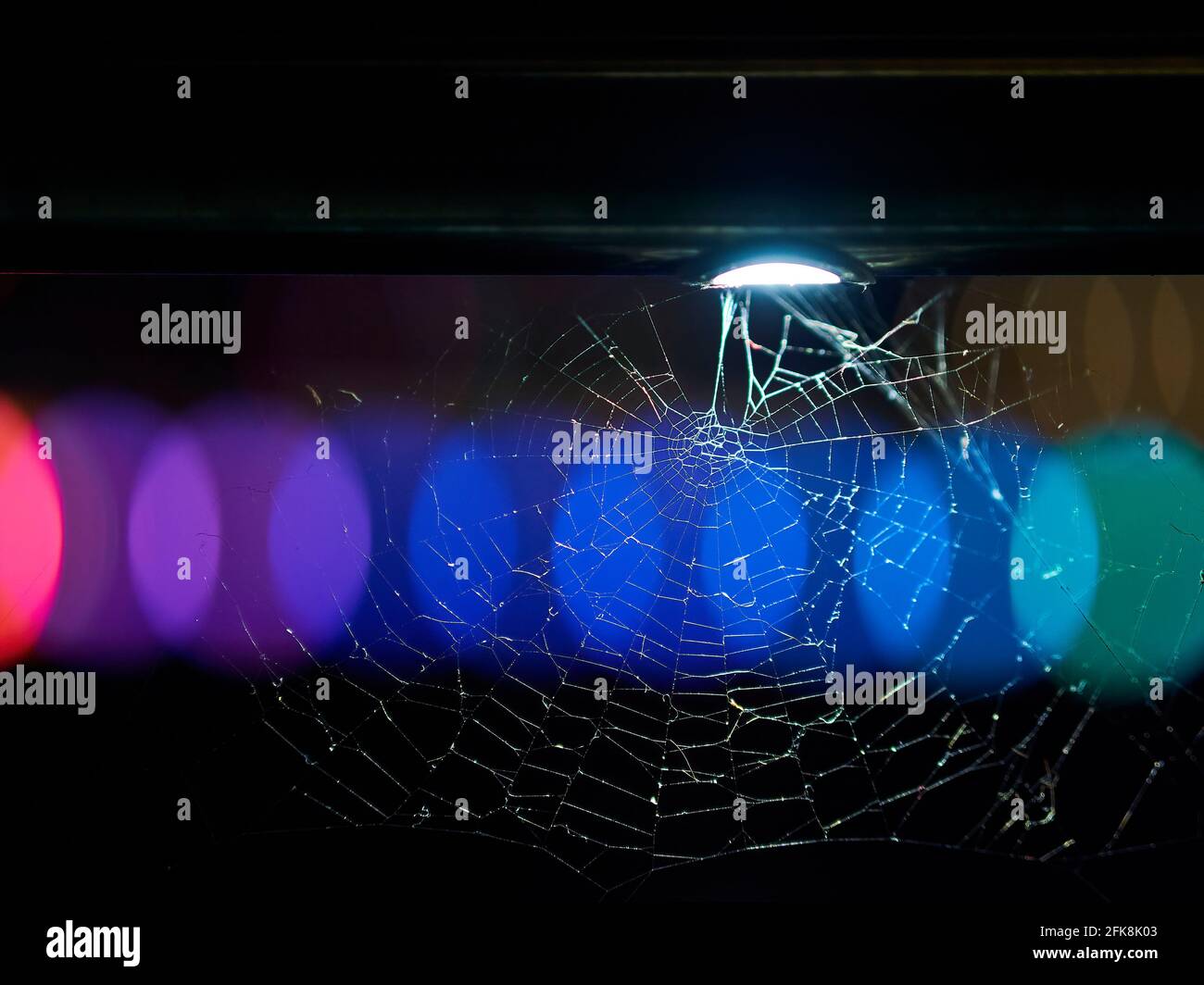 A spider web built between railings and lit by an LED, with a band of ...