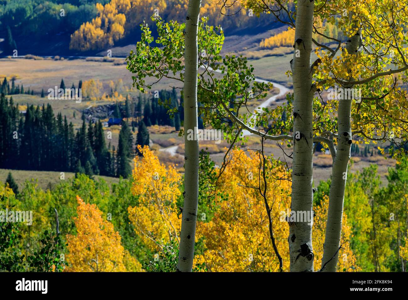 Fall color near Crested Butte, Colorado, USA Stock Photo - Alamy