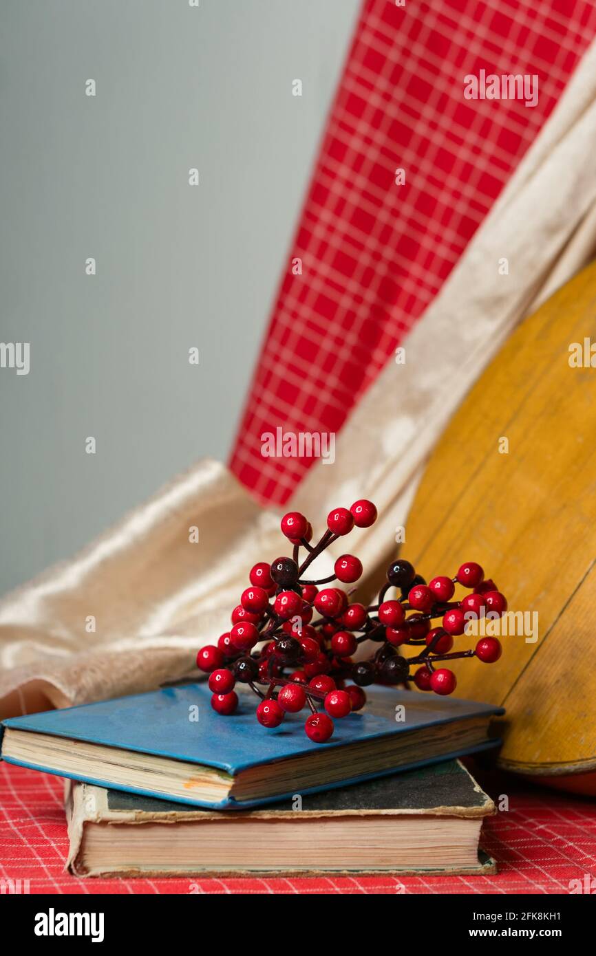 Educational still life for drawing. Two vintage books, bunch of berries ...
