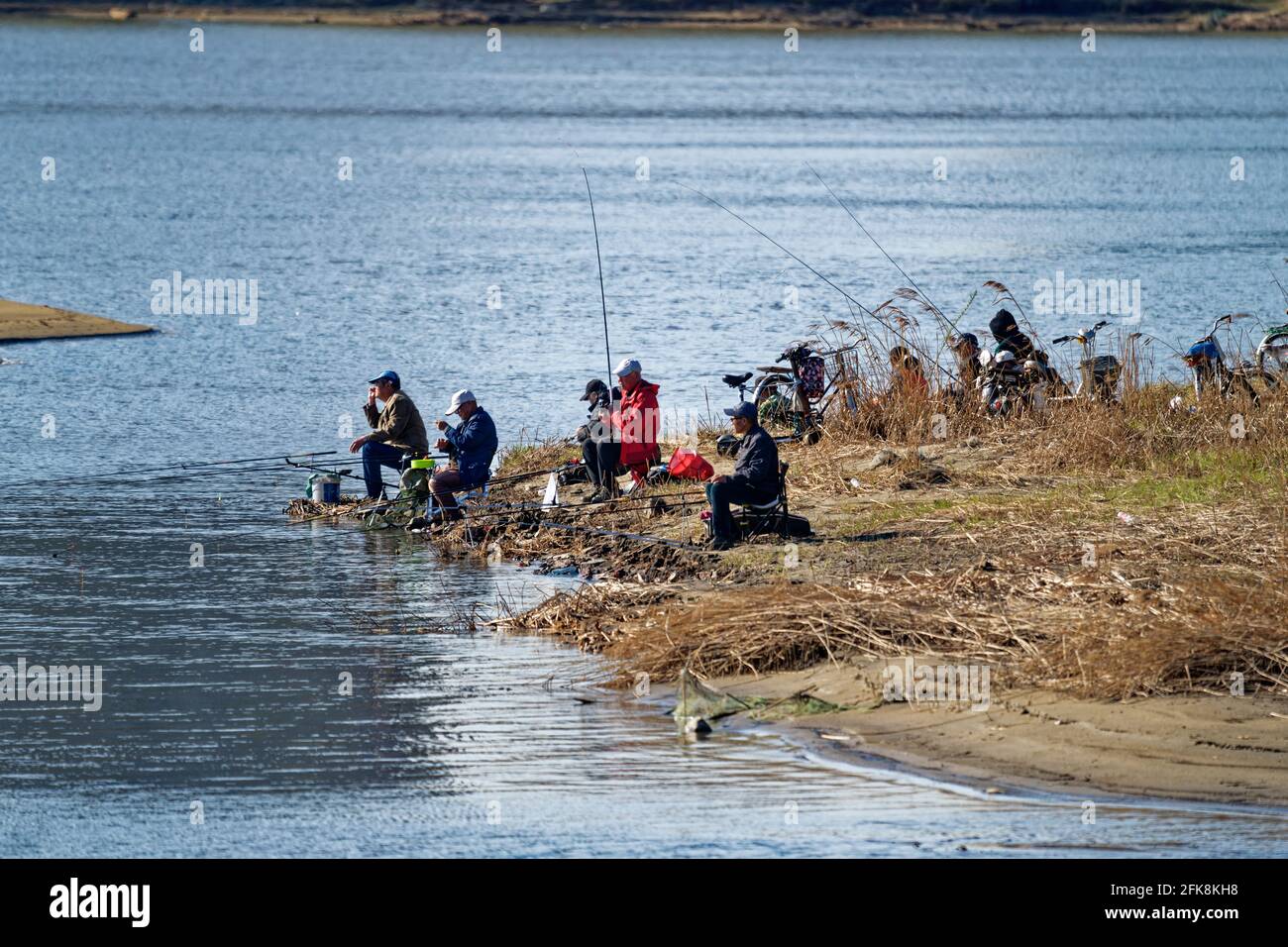 Grasses on the river bank hi-res stock photography and images - Alamy
