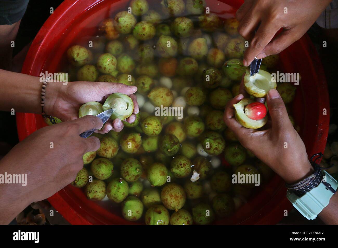 workers make a syrup drink from nutmeg Stock Photo - Alamy