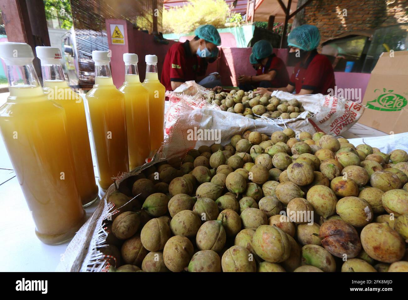 workers make a syrup drink from nutmeg Stock Photo - Alamy