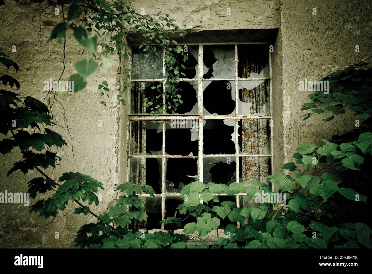 Eerie scenery of a shattered window of an old abandoned building behind ...